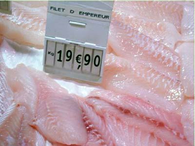 Emperor (bream) on whatamieating.com
