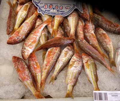 Salmonete on whatamieating.com