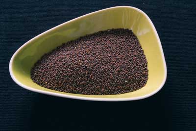 Avalu on whatamieating.com