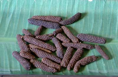 Pipul on whatamieating.com